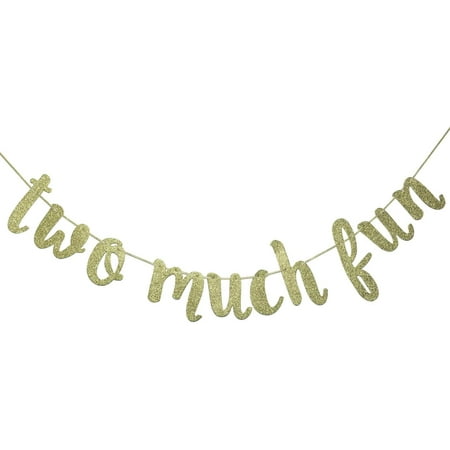 Two Much Fun Banner, 2nd Birthday Garland Sign Party Decorations ...