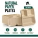 EconoHome 50 Pack Compostable Meal Tray with 3 Compartments - Eco ...