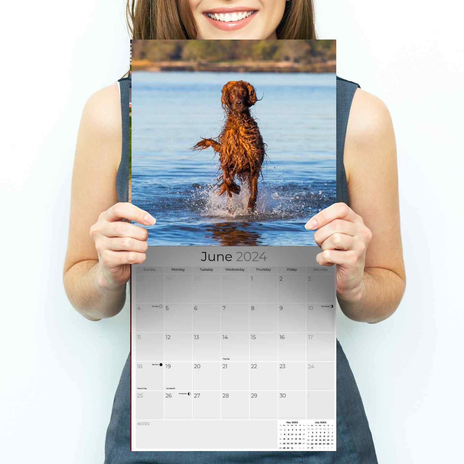2023 2024 Irish Setters Calendar - Dog Breed Monthly Nepal | Ubuy