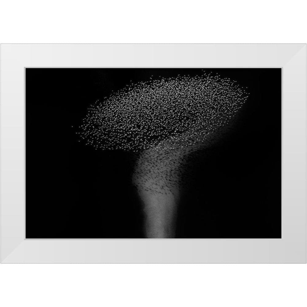 Chang, Phillip 32x23 White Modern Wood Framed Museum Art Print Titled ...