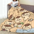 Cute Chiikawa Blanket Super Warm Novelty Plush Bedding Throws For Couch ...