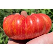 Tims Black Ruffles Heirloom Tomato Premium Seeds Packet - Walmart.com