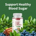 Snap Supplements Blood Sugar Support Gummies, Melon Flavor, 30 Servings ...
