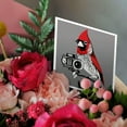 3drose, Cute Funny Red Cardinal Bird Photographer with Camera ...