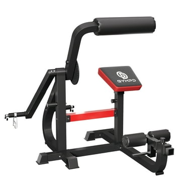 Syedee Home Gym Equipment: Seated AB Curl/Back Extension Machine ...