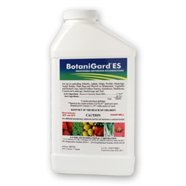 Zylam Liquid Systemic Insecticide - 1 Quart - Walmart.com