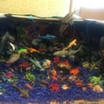 MANNYA Floating Fish Toy Model Figure 12pcs Realistic Tropical Fish ...