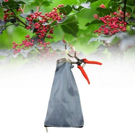 Garden Pepper Picker Fruit Picker Versatile Jujube Loquat Picker for ...