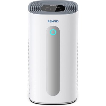 BISSELL air400 Air Purifier with High Efficiency Filter and CirQulate ...