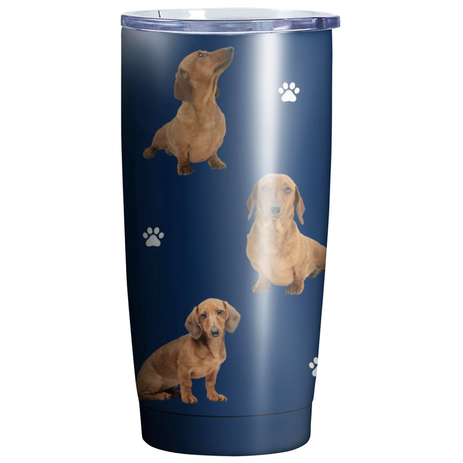 Dachshund Dog Tumbler 20oz,Double Wall Stainless Steel Vacuum Insulated ...
