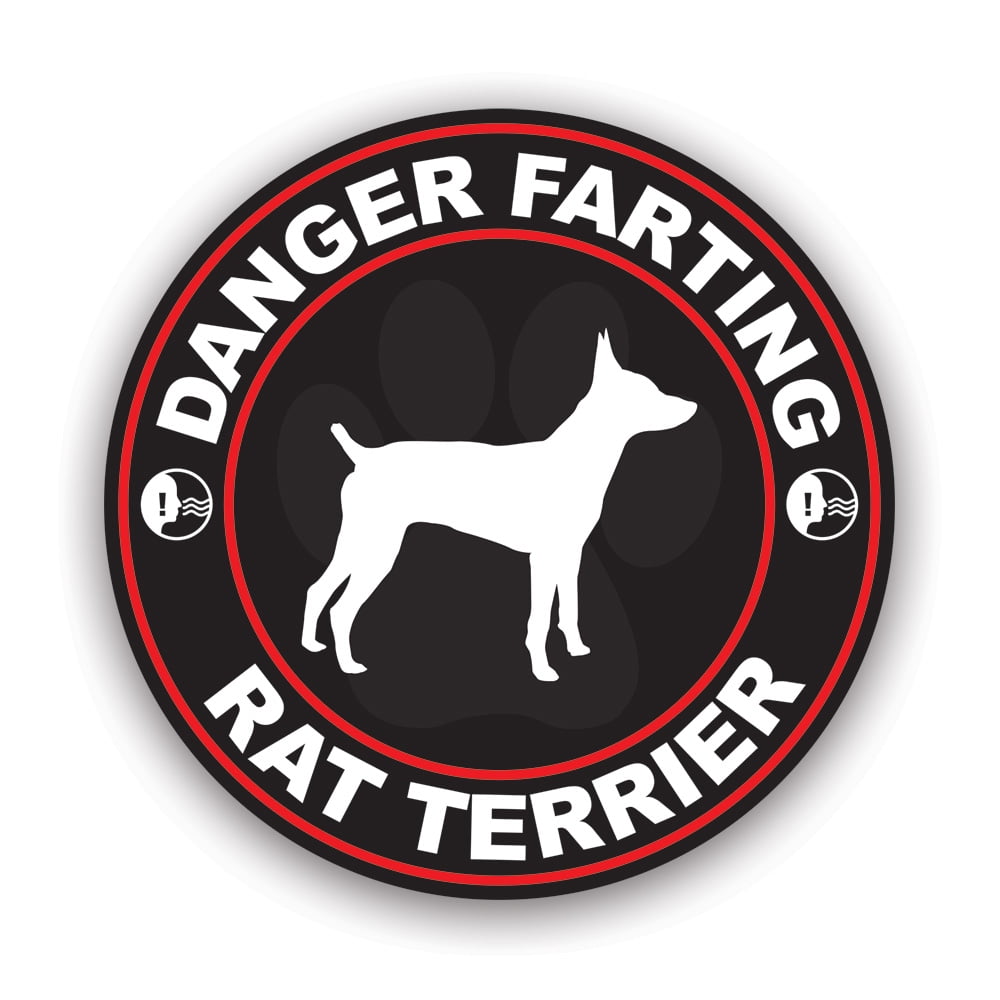 Danger Farting Rat Terrier Sticker Decal - Self Adhesive Vinyl ...