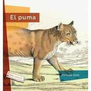 Dreamer's Powerful Tiger: A New Lucid Dreaming Classic For Children and ...