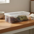 Lazsy Transparent Seasoning Container Water-Resistant Clear Seasoning ...