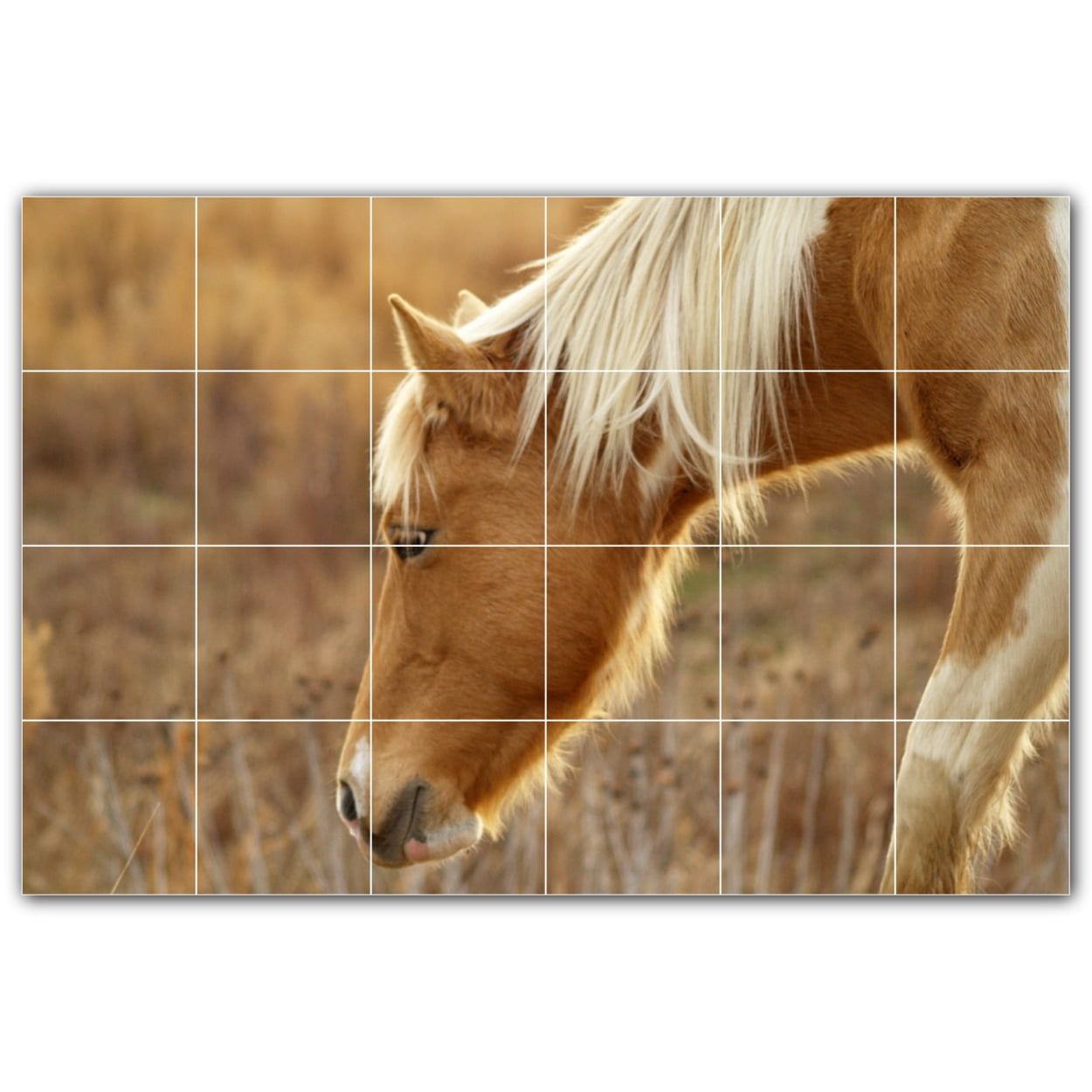 Picture-Tiles.com: Horse Ceramic Tile Wall Mural WAL500758-64L. 48"W x ...