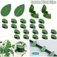 24 Pcs Plant Climbing Wall Fixture Clips, Plant Fixer Invisible Wall ...