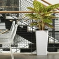 WORTH 2-Pack Tall Tapered Planter, Plastic White Square Plant Pots, 22 ...