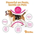Zesty Paws Flea & Tick Bites for Dogs, 60 Count - Walmart.com