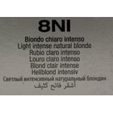 ALFAPARF MILANO Hair Color Light Intense Natural Blonde 8NI Permanent ...