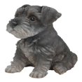 Hi Line 7” Schnauzer Puppy Garden Statue, Durable Polyresin - Walmart.com