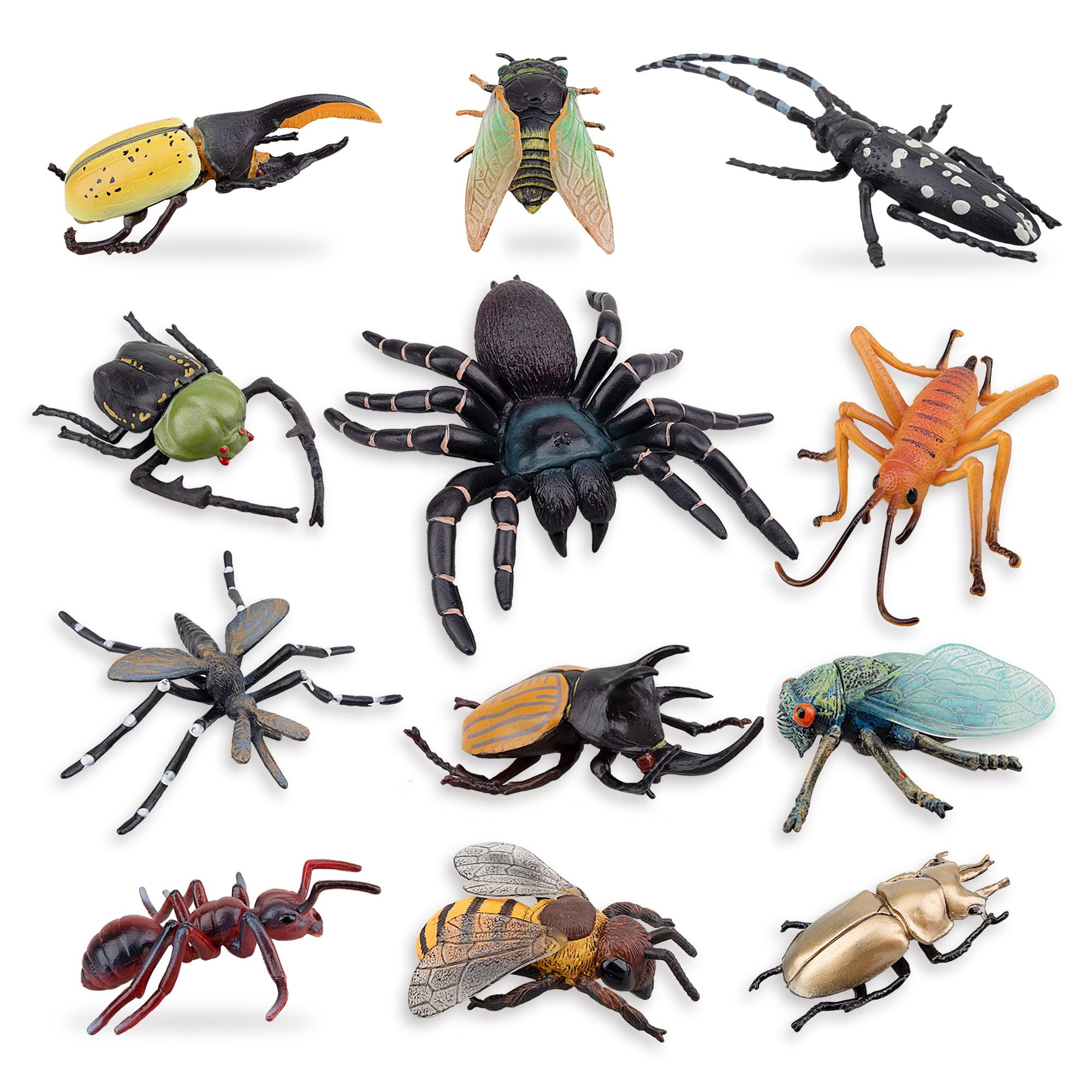 Figura de juguete Toymany Insects, 12 unidades, realistas, para niños ...