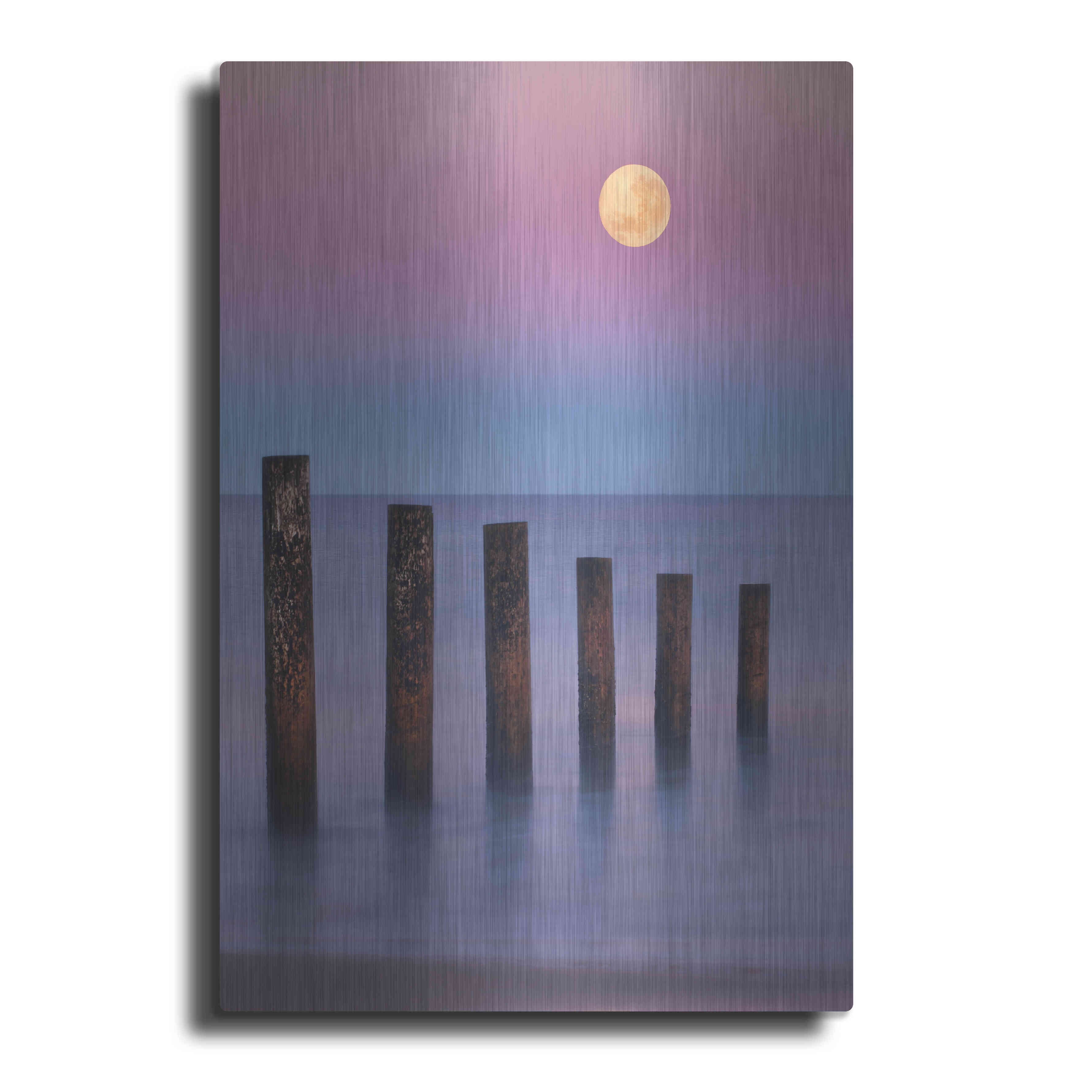 Luxe Metal Art 'Moana Moon' by Everlook Photography, Metal Wall Art, 24 ...