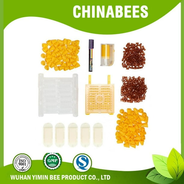 Queen Rearing Grafting for Keeper Keeping Breeding keeping Apiculture ...