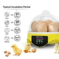 Egg Incubator for Chicken, Duck, Goose, Quail with Temperature Control ...