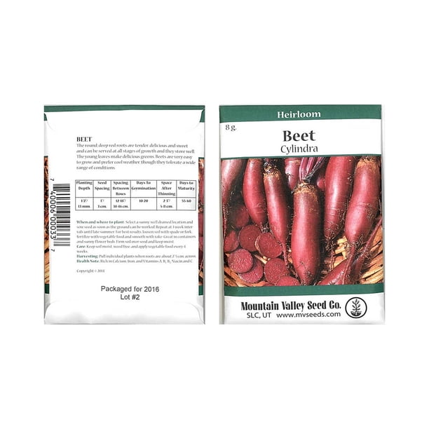 Cylindra Beet Seeds - 8 Gram Packet - Non-GMO, Heirloom - Vegetable ...