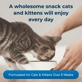 PetAg Cat-Sip® Milk Treat for Cats & Kittens, 8 fl oz. - Walmart.com