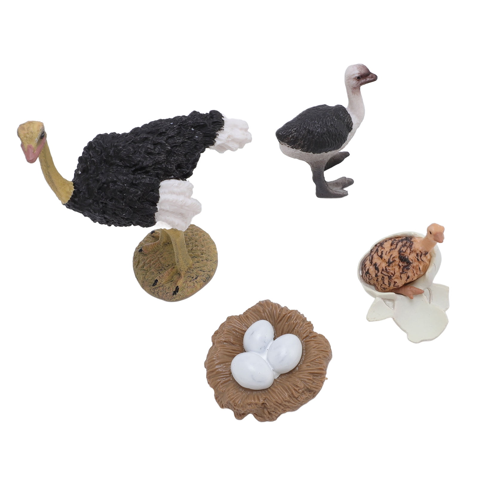 Click here for Fyydes Ostrich Life Cycle Figure  Decoration Educa... prices