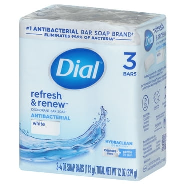 Dial Antibacterial Deodorant Bar Soap Spring Water (Pack of 32 ...