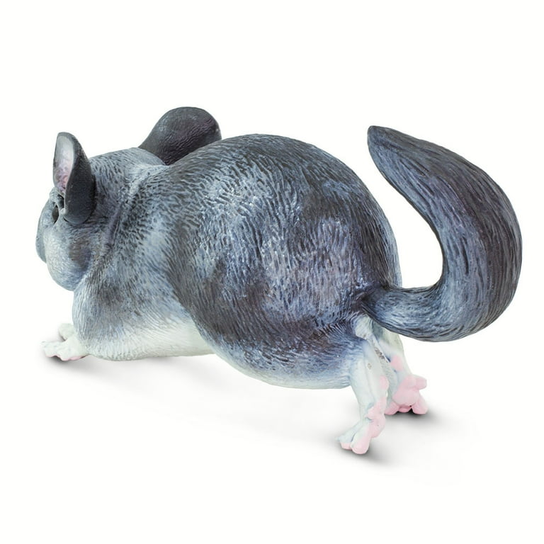 Chinchilla Toys