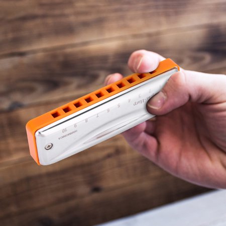 C Major Harmonica, 10 Hole 20 Tone Blues Beginner Harmonica, Perfect ...