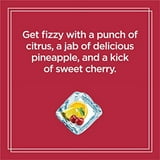 Sparkling Ice Fruit Punch Sparkling Water, Vitamins and Antioxidants ...