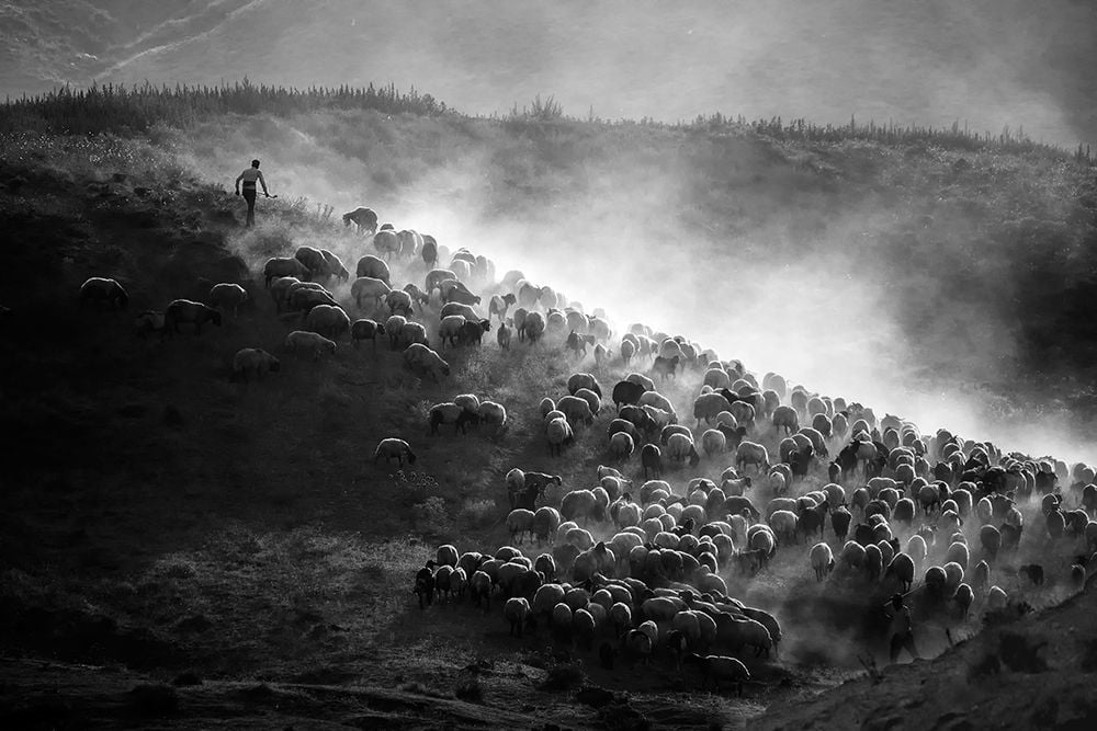 Tatvan 9 Poster Print - A Gulay Tansu (36 x 24) - Walmart.com