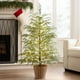 Potted 4ft Pre-Lit Twinkle LED Cypress Artificial Christmas Tree, Green, 100 LED, by My Texas ...