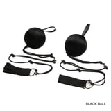2Pcs Silk Veil with 2Pcs Poi Ball Belly Dance Poi Streamer Throw Ball ...