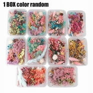 Hampton Art Action Wobbles Standard 48 Pieces, Action Wobbler, Wobble ...