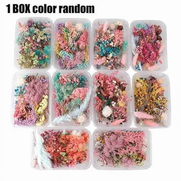 Hampton Art Action Wobbles Standard 48 Pieces, Action Wobbler, Wobble ...