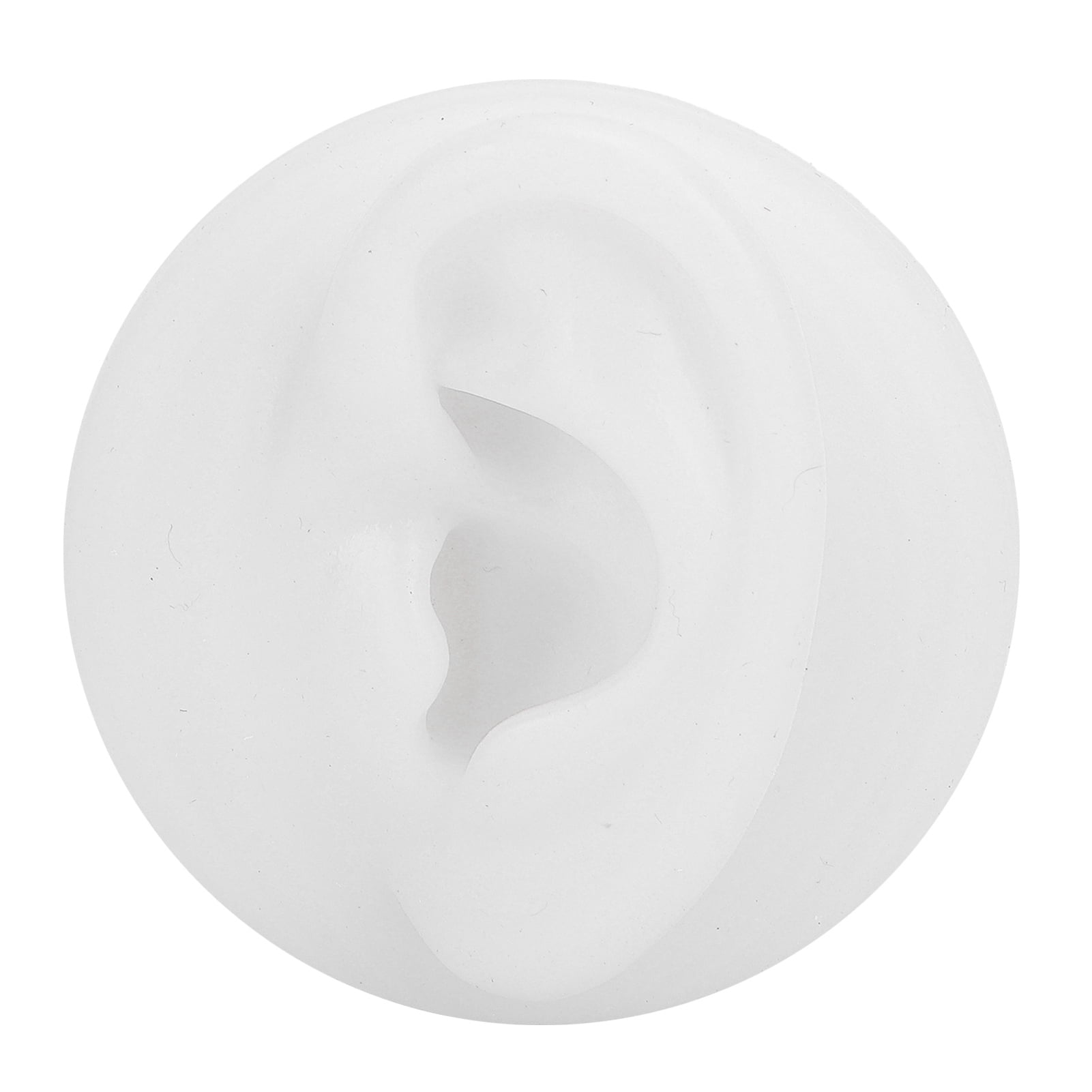 Buy Keenso Translucent Simulation Human Ear Model For Laboratory For ...