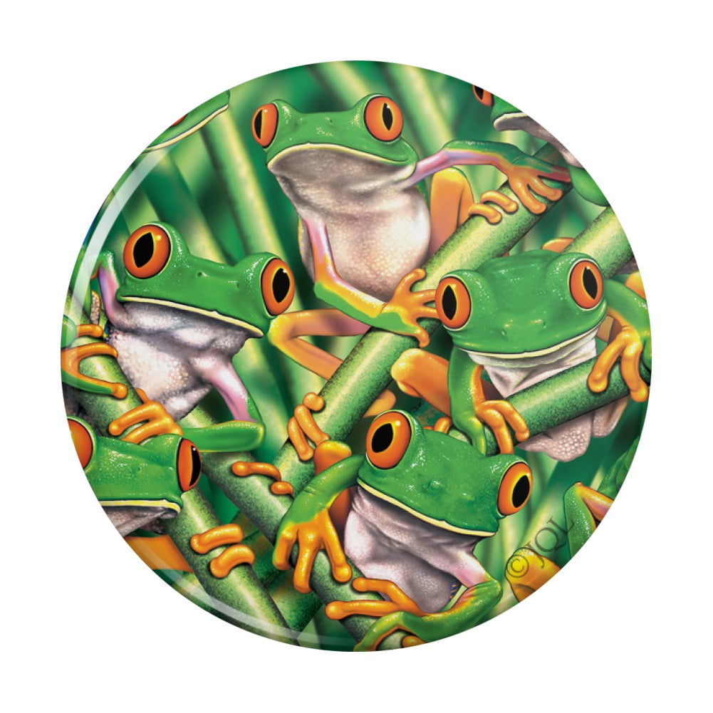 Red Eyed Tropical Rainforest Frogs Kitchen Refrigerator Locker Button ...