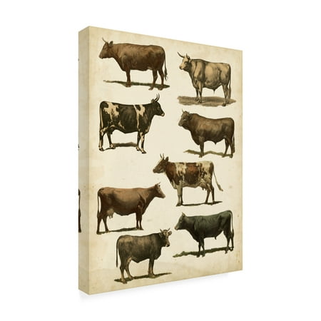 Trademark Fine Art 'Antique Cow Chart' Canvas Art by Vision Studio ...