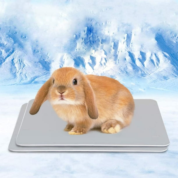 2PCS Rabbit Cooling Pad - Self Cooling Mat Ice Bed for Small Animals ...