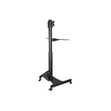 StarTech.com Mobile Standing Workstation with Monitor Mount, CPU/PC ...