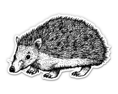 Hedgehog Drawing - 5" Vinyl Sticker - For Car Laptop I-Pad - Waterproof ...