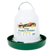 Rite Farm Products Green 1 Quart Poultry Chicken Chick Feeder & Drinker ...
