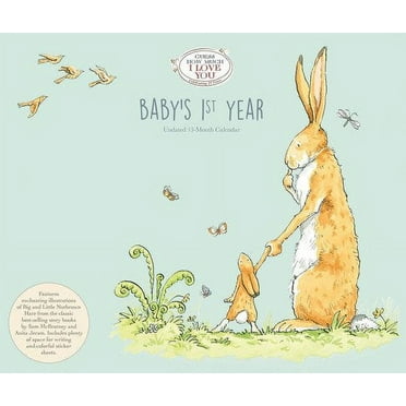 Birds First Year Calendar (Other) - Walmart.com