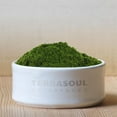 Terrasoul Superfoods Organic Barley Grass Juice Powder, Healthy Green ...