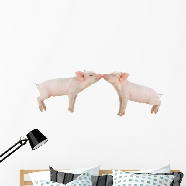 Pig Wall Decal by Wallmonkeys Peel and Stick Graphic (48 in W x 17 in H ...
