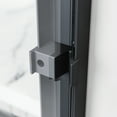 Sunny Shower Semi Frameless Enclosure Door With Clear Glass Black